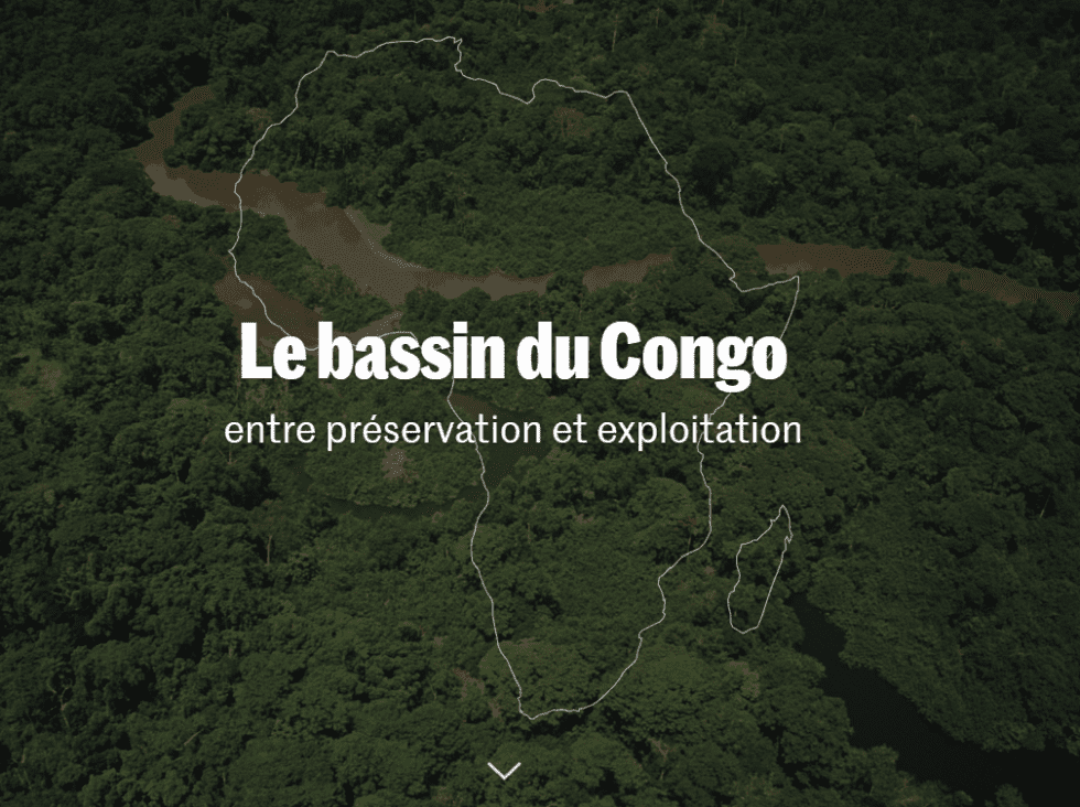 La déforestation dans le bassin du Congo | Sciences humaines